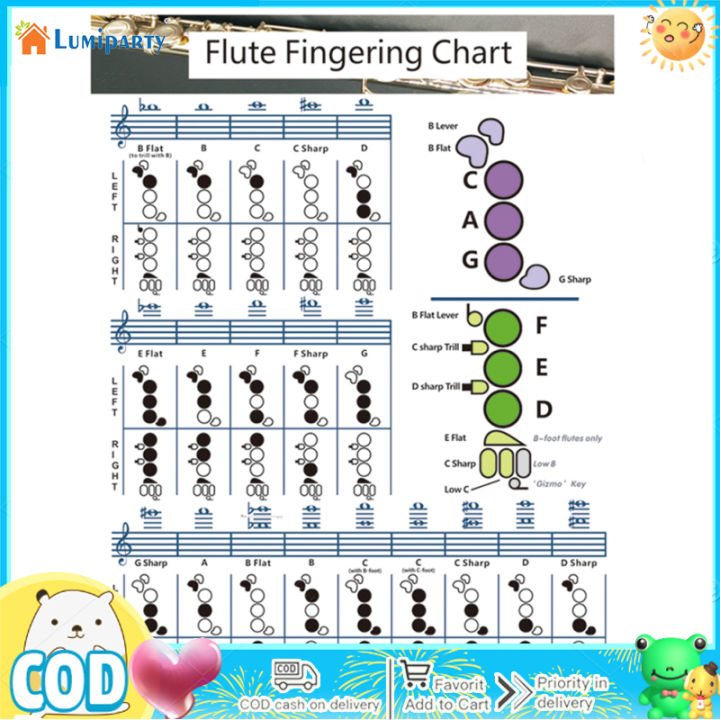 Large Flute Chords Poster Finger Placement Flute Chords Theory Poster ...
