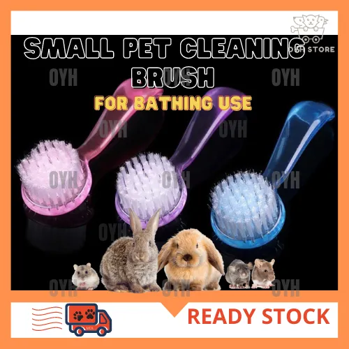 Local Delivery-Small Pet Cleaning Brush Bath time tool Hair Care ...