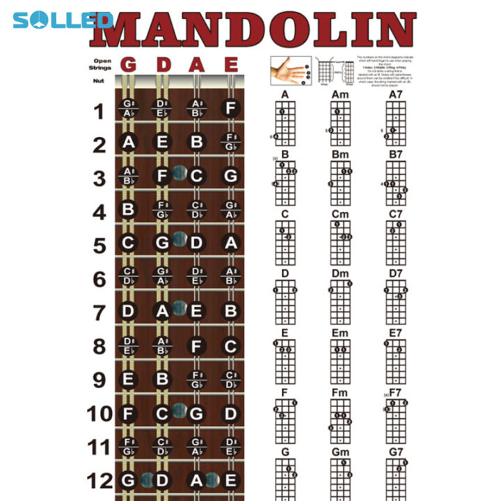 Mandolin Fretboard Notes Chart Finger Placement Chords Theory Poster ...