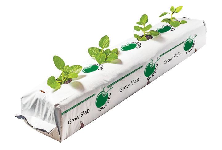 Grow slab วัสดุปลูกพืชภายในโรงเรือน 4 อันต่อแพ็ค | Lazada.co.th