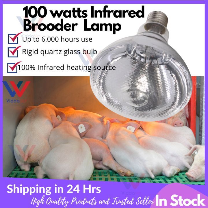 1 Set Metal Heat Lamp with Infrared Bulb Piggery Poultry livestock ...