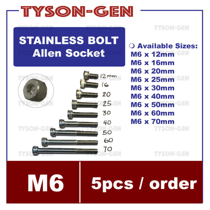 M6 Stainless Bolts 5pcs Allen Socket - M6 x 12mm - 70mm (nuts & washers sold separately) | Lazada PH