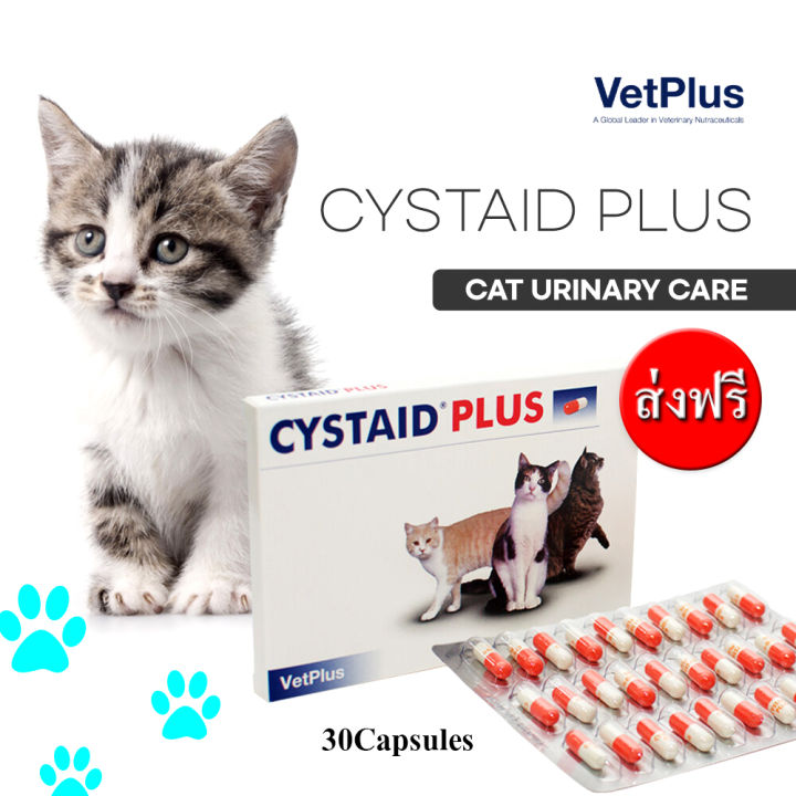 Cystaid อาหารเสริมสำหรับแมว 1กล่องมี30เม็ด | Lazada.co.th