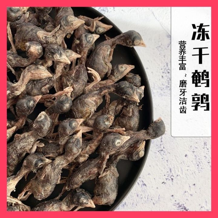 Freeze-Dried Small Quail 【仓鼠猫犬通用】冻干小鹌鹑 | Lazada