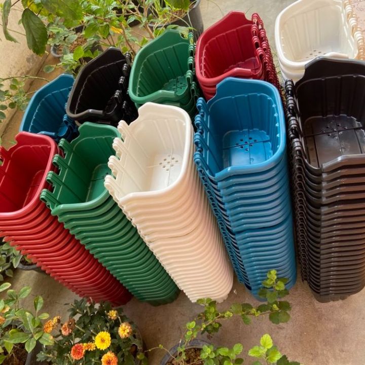 FAMILIFE 12pcs (1 Dozen) Colored Minimalist 4 Clips Big Wall Flower ...