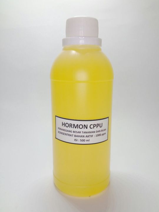 hormon cppu pembesar buah dan tanaman ukuran 500ml | Lazada Indonesia