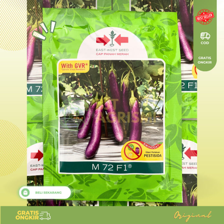 Benih Terong Ungu M72 F1 Isi 1100 Biji M 72 Cap Panah Merah | Lazada Indonesia