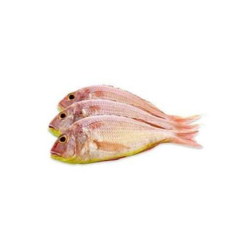 Frozen Bisugo "Goatfish" Cleaned (300-400g) | Lazada PH