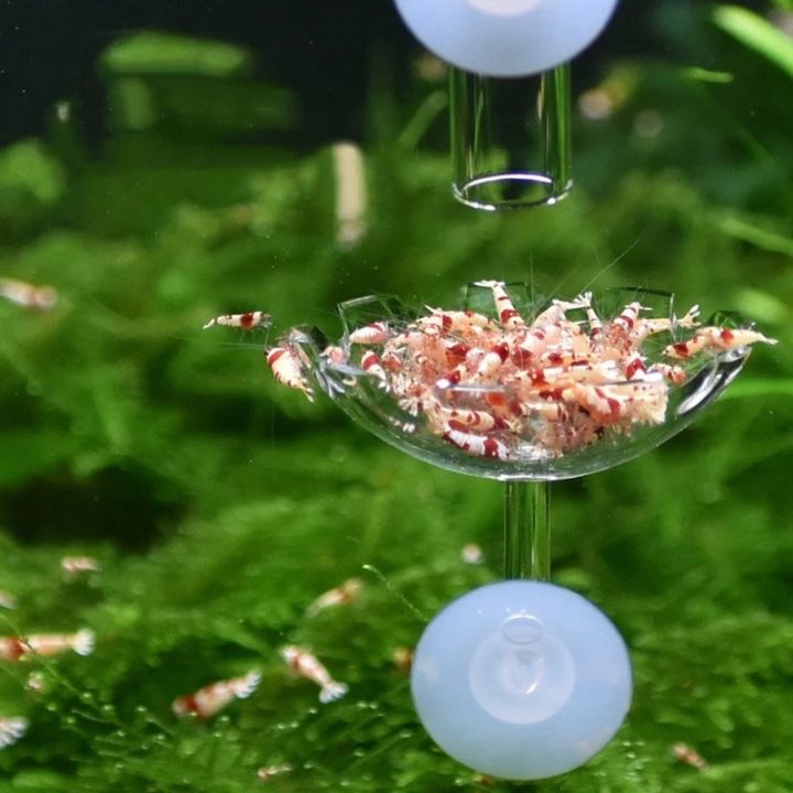 Clear Acrylic Fish Tank Floating Feeder Fish Shrimp Feeding Food Bowl ...