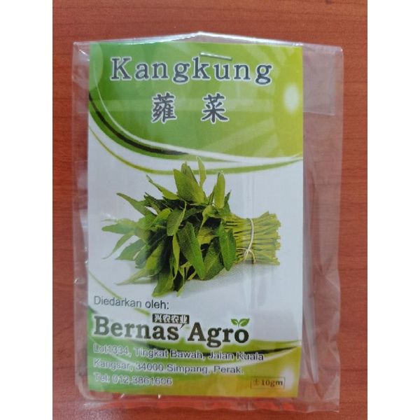 Biji Benih Kang Kong Kangkung Grade A Water Convolvulus Seeds | Lazada