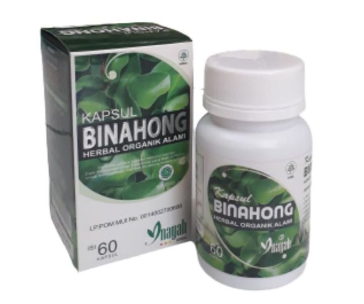 Herbal Ekstrak Kapsul Daun Binahong Inayah - 60Kapsul - Herbal penyembuh luka - diabet asam urat ...