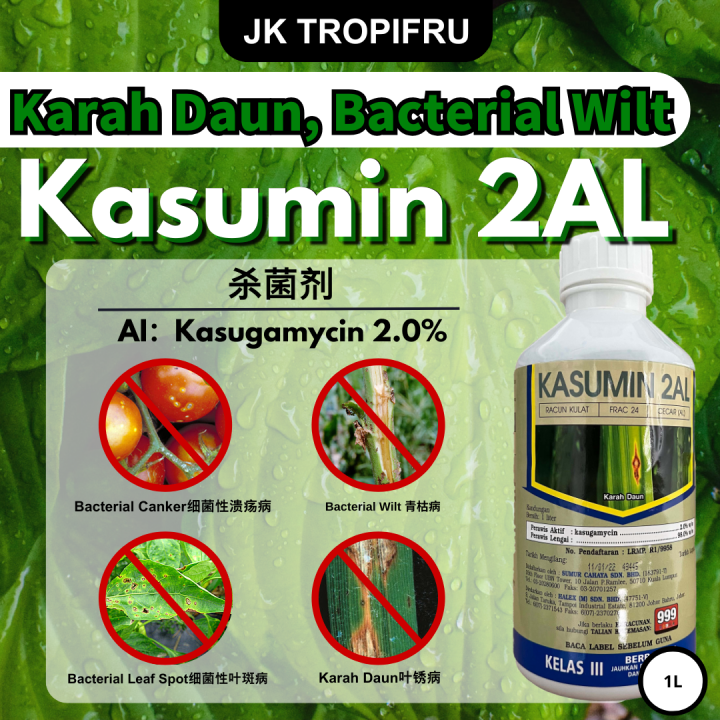 【Karah Daun叶锈病, Bacterial Wilt青枯病】Kasumin 2AL (1L) bactericide /racun kulat /杀菌剂 | Lazada