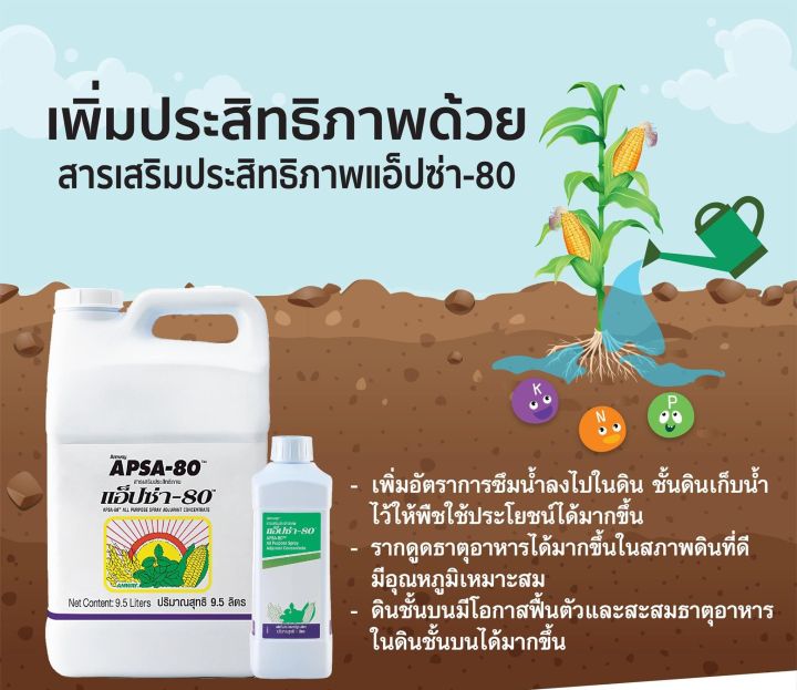แอปซ่าแอมเวย์ Apsa-80 แอ็ปซ่า80 สารเพิ่มประสิทธิภาพ สารเสริมประสิทธิภาพ ...