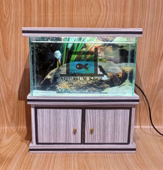 Aquarium Mini satu set kabinet free pasir | Lazada Indonesia