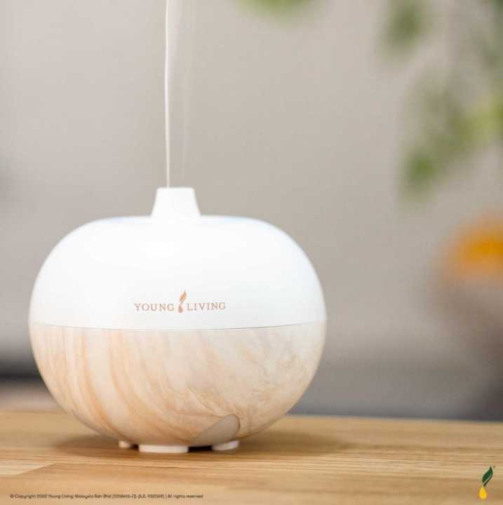 💯Original - Young-Livings AromaGlobe Potable / Wireless Diffuser | Lazada