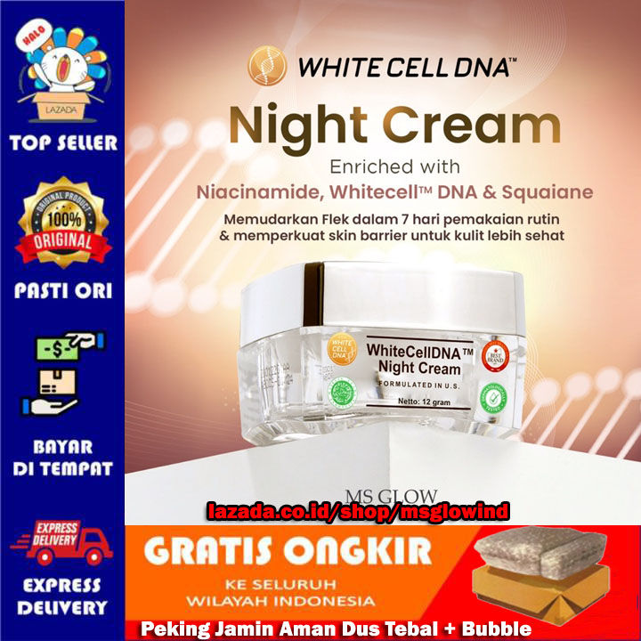 cream malam white cell dna ms glow - night cream dna - night cream ...