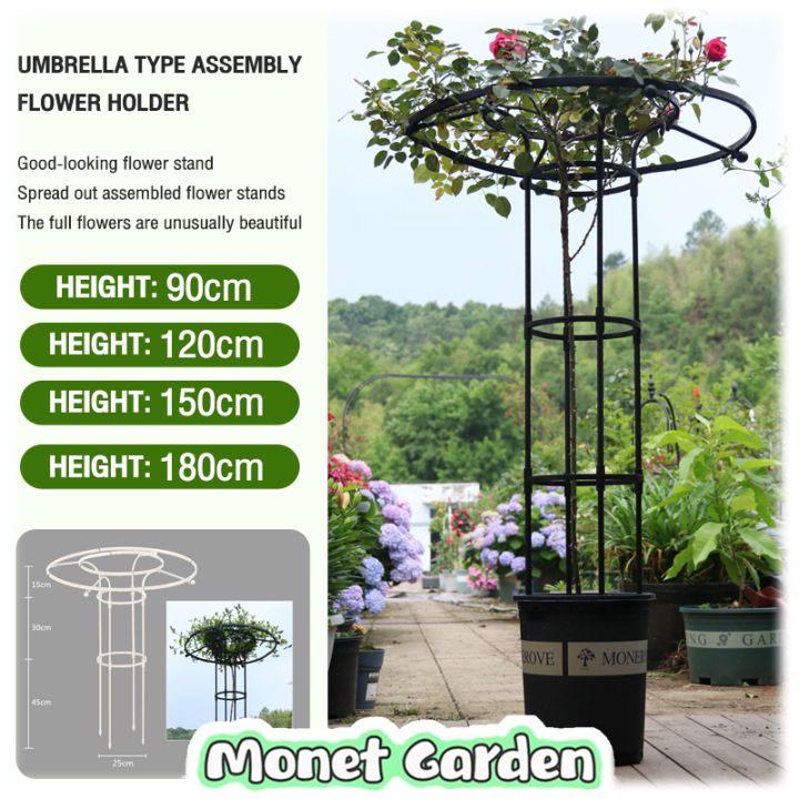 Assemble umbrella shaped flower stand, climbing vine stand, rose rose ...