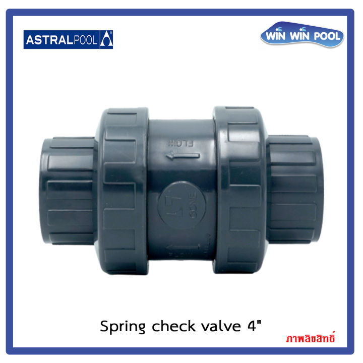 Astralpool Spring Check Valve 4" ป้องกันการไหลกลับ ชนิดสปริง | Lazada.co.th