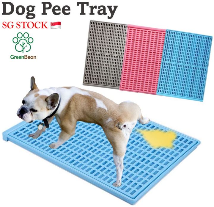 Dog Pee Tray / Flat Dog Pee Tray / Dog Puppy Training Toilet / Pet Pee ...