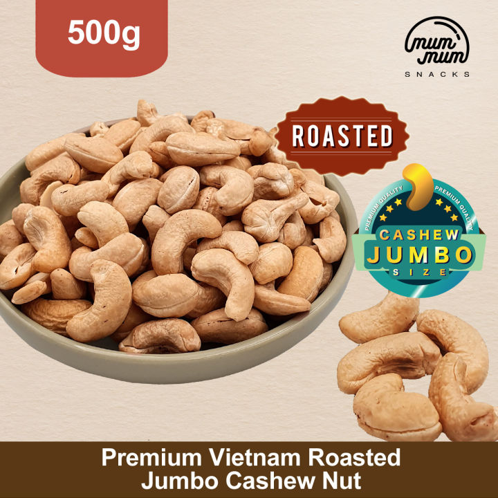 Premium Vietnam Roasted Jumbo Cashew Nut [500g] | Lazada