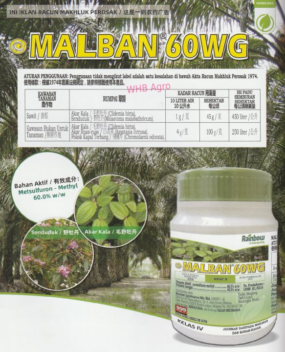 Rainbow Malban 60 WG - ( 150g / 500g ) 👍 💯 | Lazada