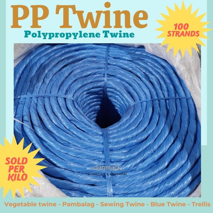 PP Twine Vegetable Twine Pambalag Sewing Twine Blue Twine Trellis 100 ...
