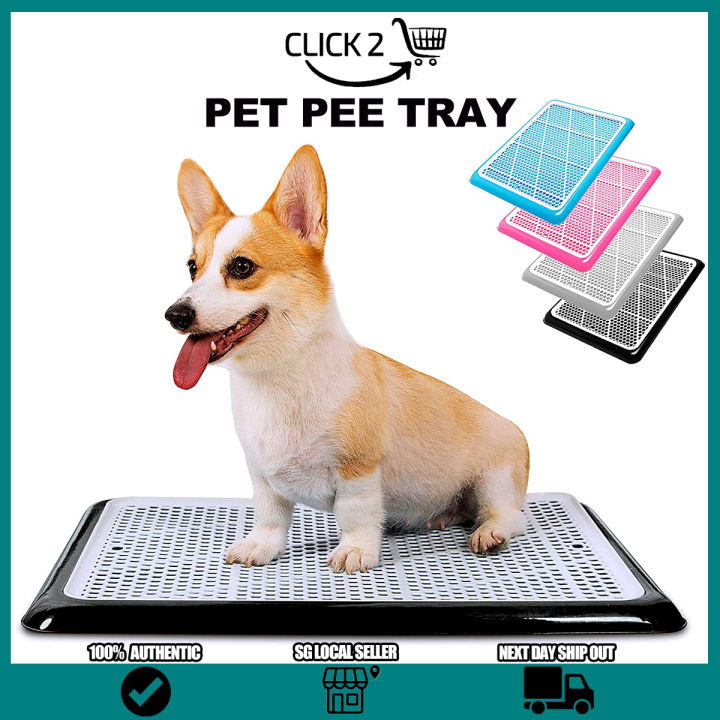 🔥SG🔥Pet Pee Tray/ Dog Pee Tray/ Plastic Pee Pan/ Urinary Trainer Pee ...