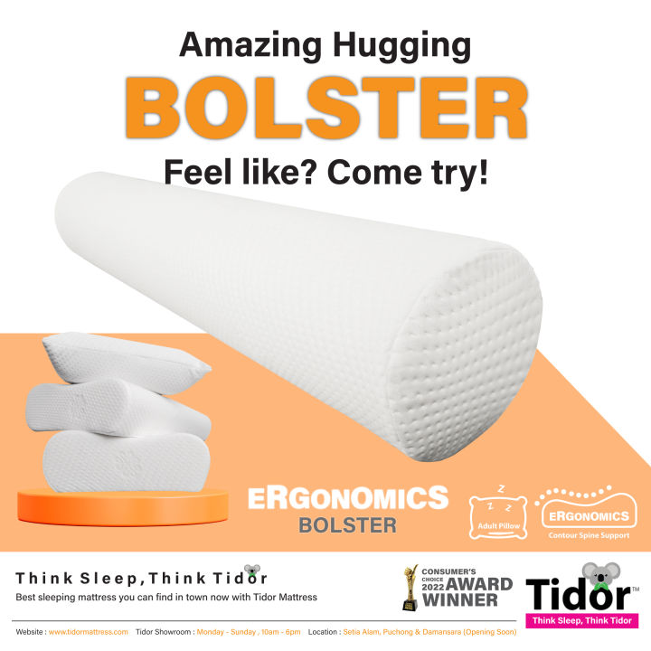 Tidor - Tidor Koala Hugging Bolster | Lazada