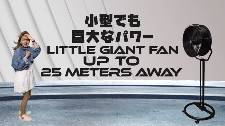 [COOLING MONSTERS] Powerful Standing 20" Little Giant Fan | Variable ...