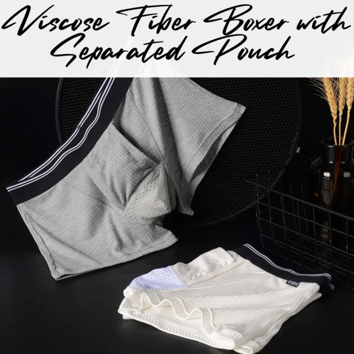 Men's Boxer : Viscose Fiber Boxer with Separated Pouch Underwear (GTOPX ...