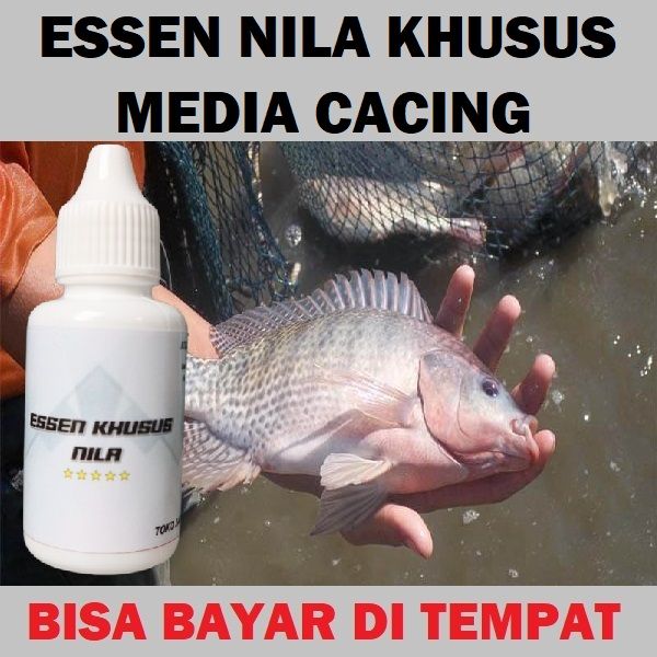 ESSEN NILA KHUSUS MEDIA CACING 3OML | Lazada Indonesia