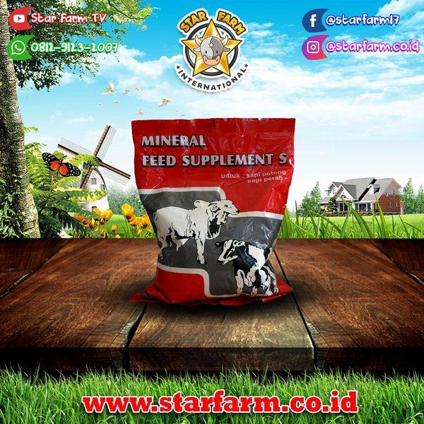 SUPLEMEN PAKAN MINERAL S Untuk Sapi - 1Kg | Lazada Indonesia