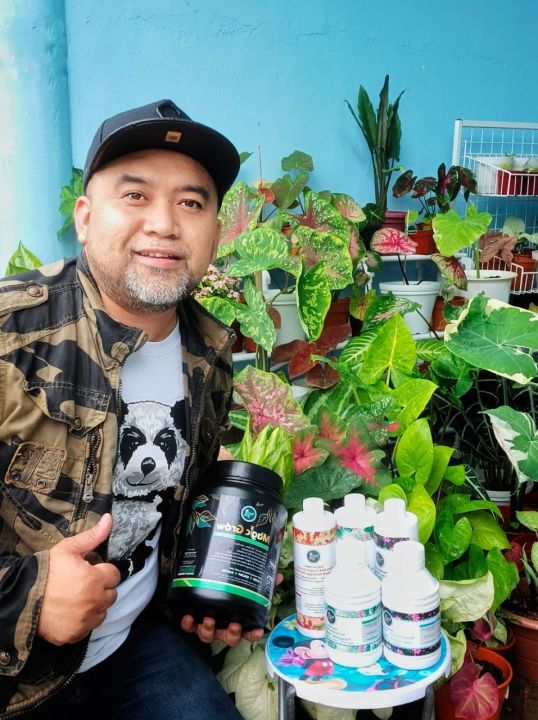 Baja Tabur Magic Grow 2KG fertilizer, fertiliser, gardening, Garden ...