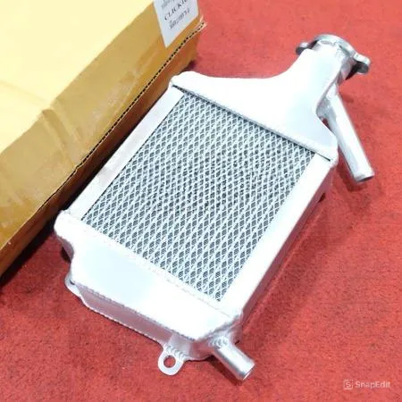 Radiator Spac Thailand Vario 125/150 ADV PCX 150 Double Jaring | Lazada ...
