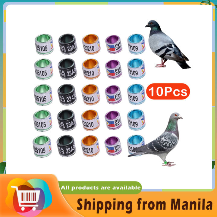 10Pcs Pigeon Ring 2023 PHA Oval Ring for Pigeon 2023 sigsig ng kalapati ...