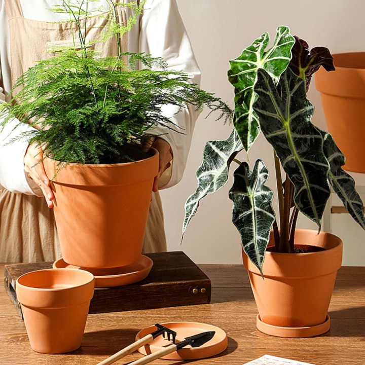 Bundle Set Terracotta Pottery Pots | Red Pottery Pot | Porous Flower ...