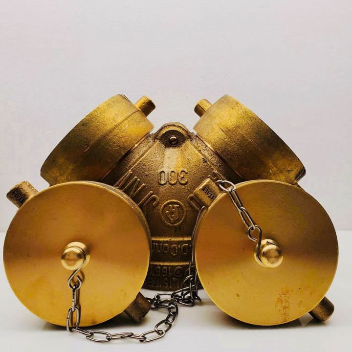 Siamese Twin 4 x 2 1/2 x 2 1/2 inch with Plug and Chain Fire Deparment Connection 100mm x 65mm ...