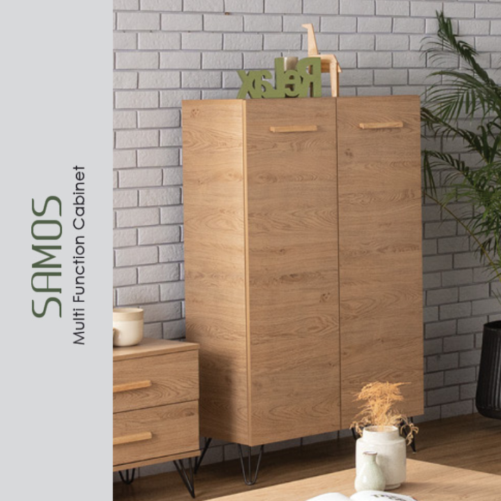 hinlim.com - SAMOS Multi-Function Cabinet / Metal Leg Shoe Cabinet / Multi-purpose Cabinet ...