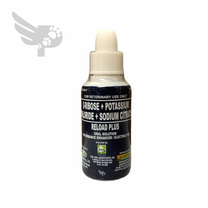 RELOAD Max 15ml - New & Improved - Performance Enhancer - Electrolytes ...