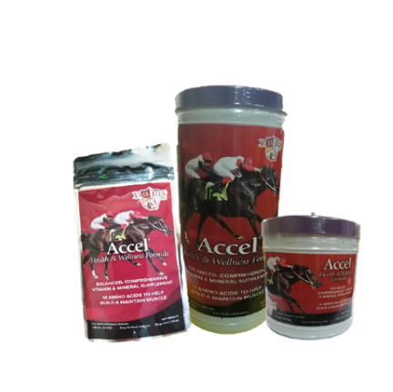 Accel Crumble | Lazada PH