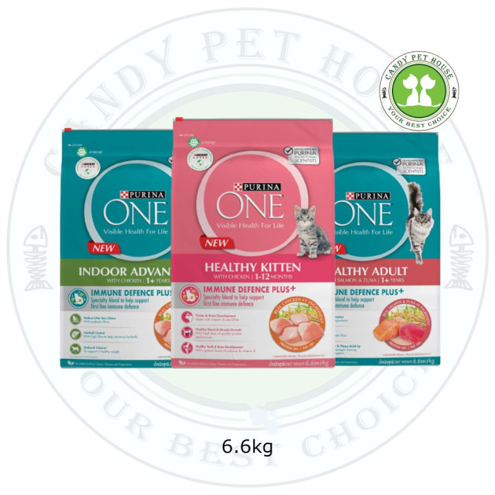 Purina One Cat Dry Food-6.6kg | Lazada