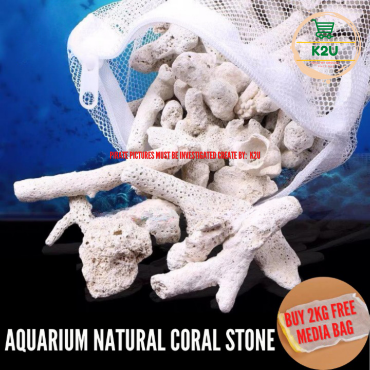 AQUARIUM Natural Coral Bone Stone Filter Media for Fresh & Marine ...