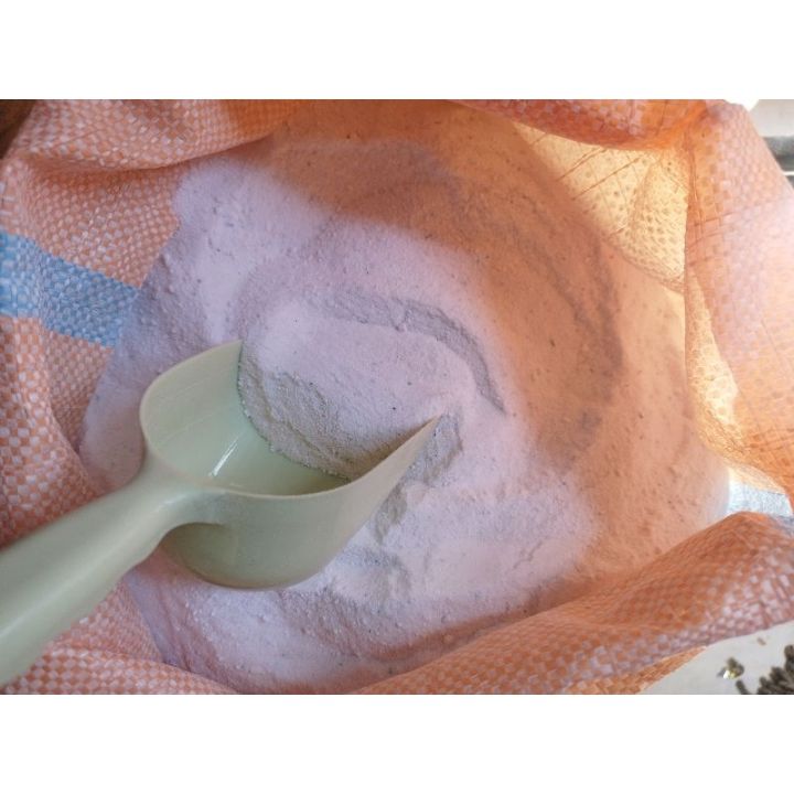 25kg Premium Detergent Powder | Lazada PH