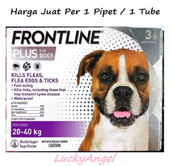 frontline plus dog 20kg-40kg(L) / obat kutu anjing frontline 20-40kg | Lazada Indonesia
