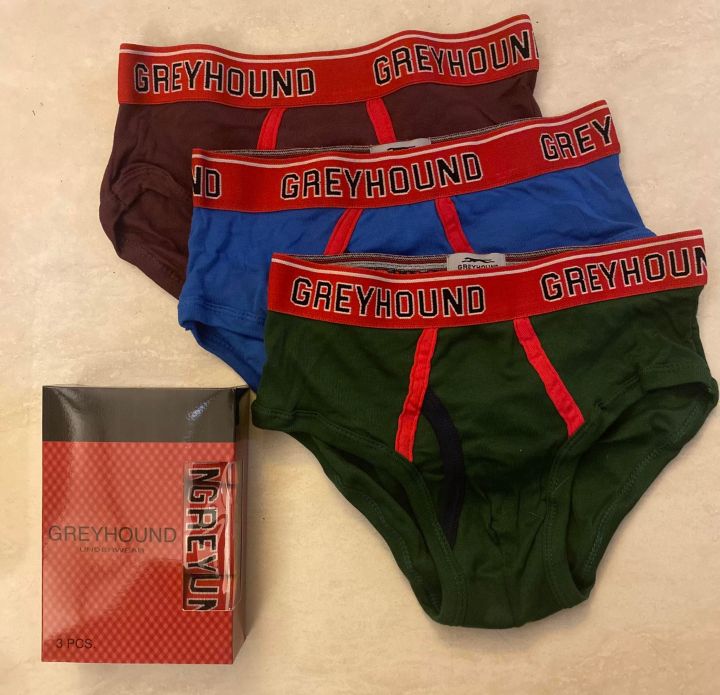 GREYHOUND 3in1 Assorted Colored Brief 100% Cotton Briefs (Mall Item ...