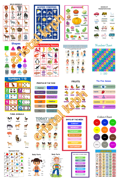 LAMINATED EDUCATIONAL WALL CHARTS FOR KIDS A4 SIZE | Lazada PH