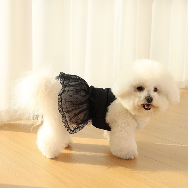 GAILI Princess Style Dog Skirts Fashion Design Summer Weight Dog ...