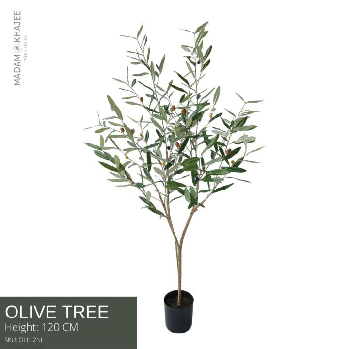 Olive Tree - Height 120 cm ต้นมะกอก ความสูง 120 ซม.ต้นมะกอกปลอม ต้นไม้ ...