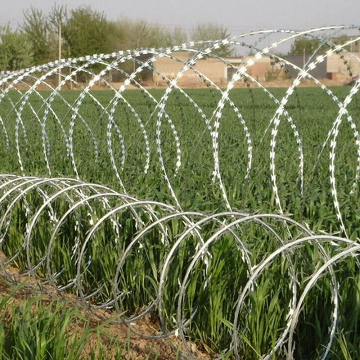 Family Yard Blade Razor barbed wire Fence Barbed Clip rope helix Coils ...