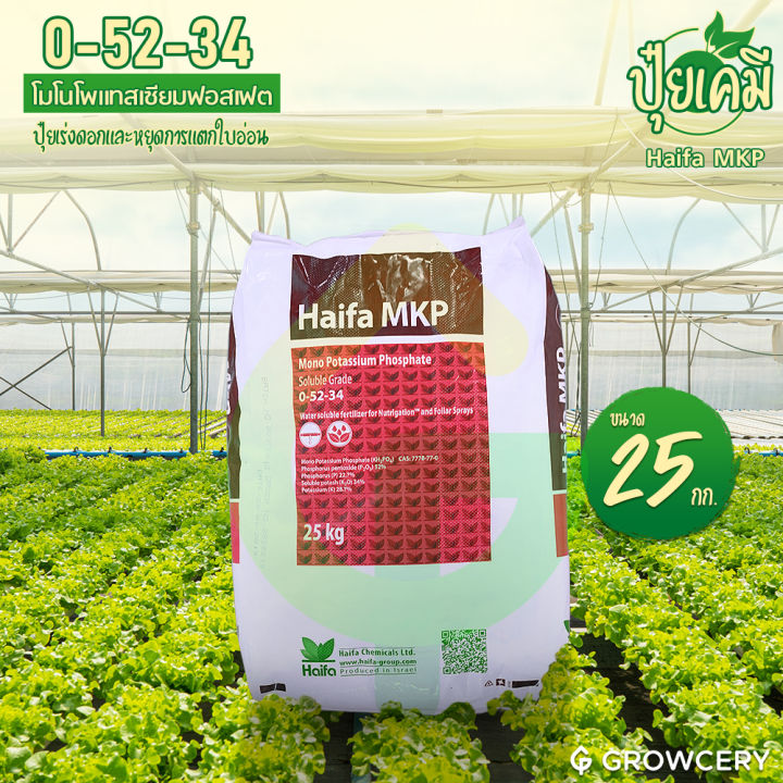 [G] ปุ๋ยเกล็ด 0-52-34 โมโนโพแทสเซียมฟอสเฟต (ปุ๋ยเร่งดอก หยุดการแตกใบอ่อน) ขนาด 25กก. ยี่ห้อ ...